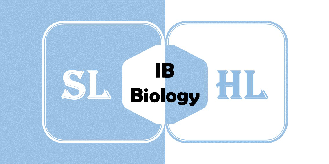 IB Biology SL vs. HL: 差別在哪？要如何選擇？ | Ivy-Way留學部落格 | 最即時、完整的美國大學升學資訊