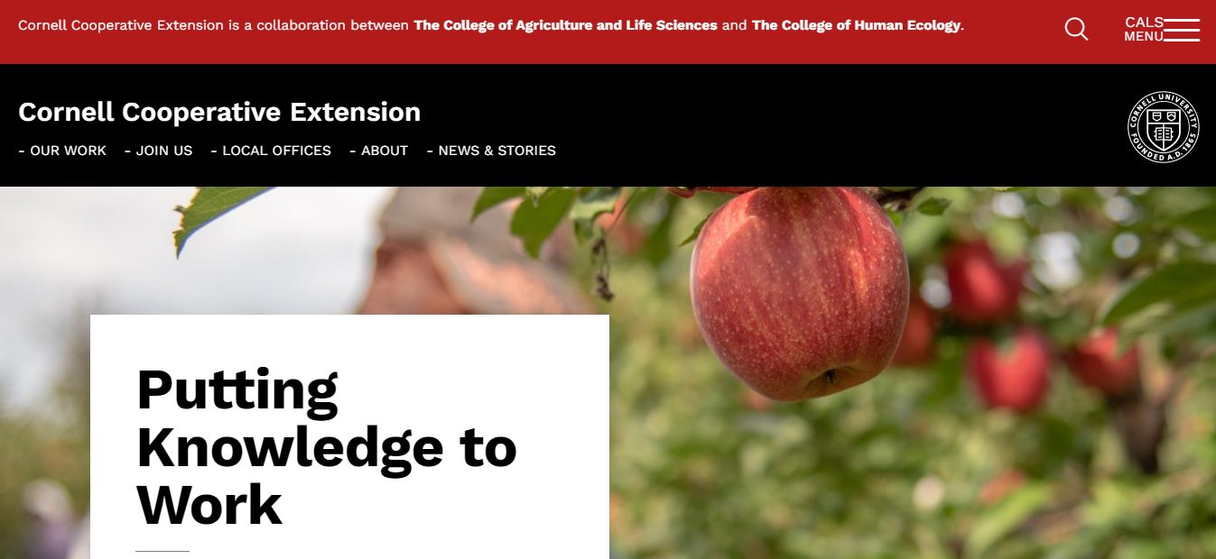 美國頂尖名校也有容易入學的學院？一起來了解什麼是Extension School！ | Ivy-Way留學部落格 | 最即時、完整的美國大學升學資訊